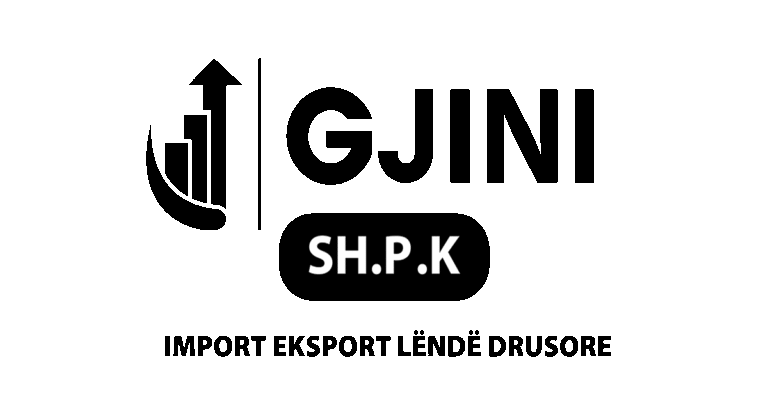 GJINI SHPK - Konsulencë Marketing